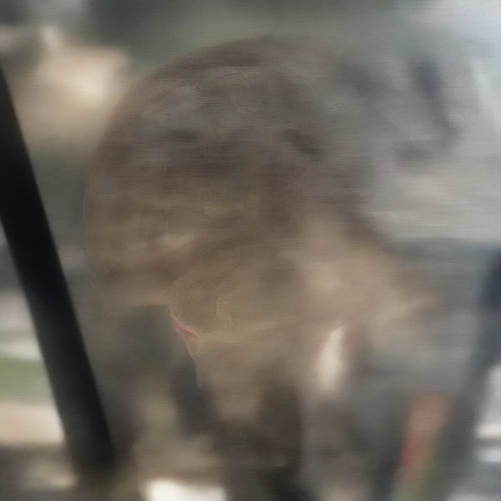 Understanding the Human Brain: Insights from Neuroscience